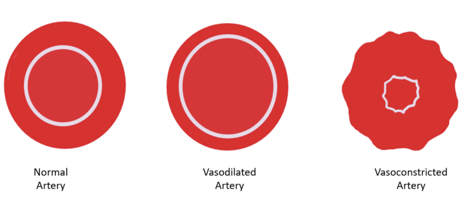 13.2 Hot and Cold Applications: The Role of the HCA – Personal Care ...