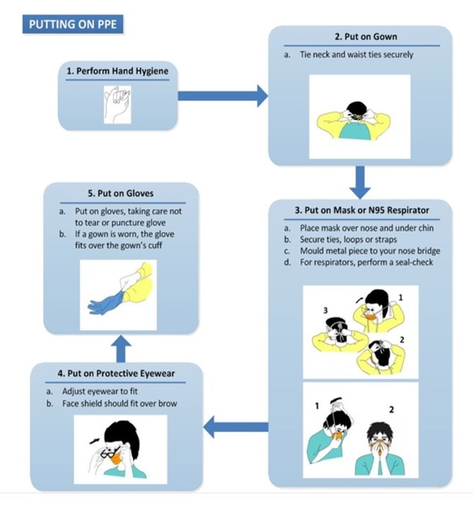 2.5 Routine Practices and Personal Protective Equipment – Personal Care ...