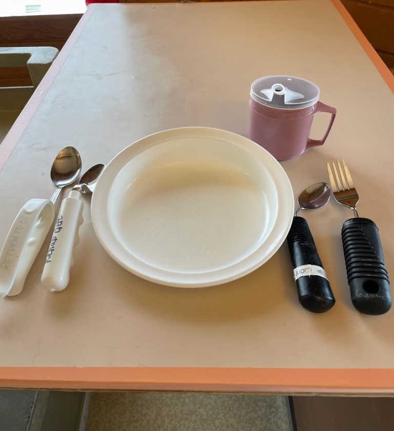 6.4 Special Diets – Personal Care Skills for Health Care Assistants