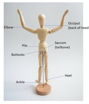8.2 Lifts versus Transfers – Personal Care Skills for Health Care ...